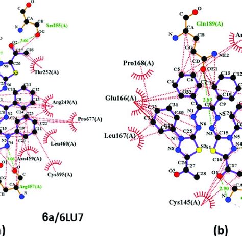 A A Diagram Of 2d Ligplot Depiction Of 6a Against 6lu7 B 6a With 6 Download Scientific