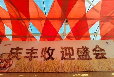 稻花香里说丰年拼多多新农人组团走进2022中国农民丰收节 观察 二牛网