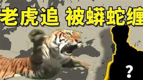 被黄蜂蜇被强盗打劫险些命丧沙漠的中国近代环球旅行第一人 凤凰网视频 凤凰网