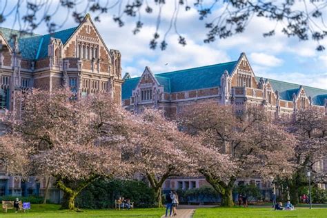 The Top 6 Places To See Cherry Blossoms In Seattle In The Spring