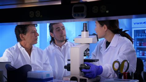 Intentionally Strategically Collaboratively Nc State Situated For Research To Soar