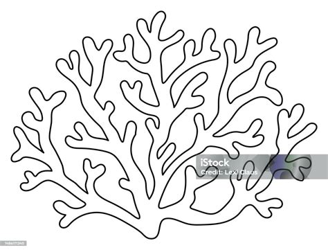 벡터 흑백 산호 아이콘입니다 귀여운 해초가 있는 바다 선 그림 아래 해양 식물 클립 아트입니다 어린이를 위한 수중 또는 해양 클립 아트 또는 색칠 공부 페이지 0명에 대한