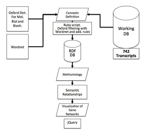 workflow followed to build up and visualize a network of transcript