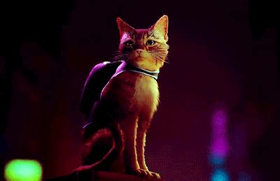 Blauer Tiger Tumblr Com Tumbex