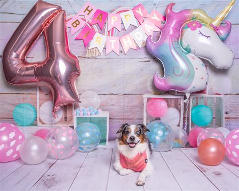 My Pretty Girl Is Four 🥹 R Miniaussies