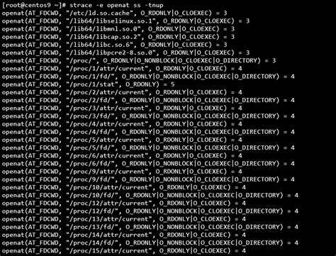 Linux Proc Filesystem Manipulation Techniques And Defenses Group IB
