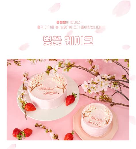 벚꽃 케이크 미니 원모먼트