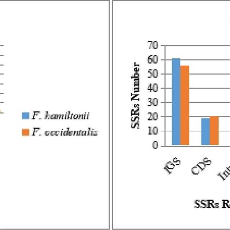 Displayed Ka Ks Value For 32 Genes Genes With Zero Ka Ks Values Are Download Scientific