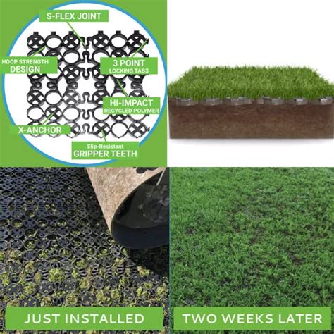 Truegrid Permeable Pavers On Linkedin Why Root Protects Grass From