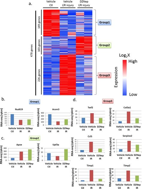 Rna Seq Heat Map