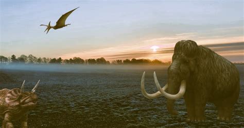 Digital Functional Skills Module 1 Using Devices And Handling