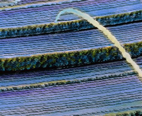 False Colour Sem Of Cells From Lens Of Hu Stock Image P424 0063 Science Photo Library