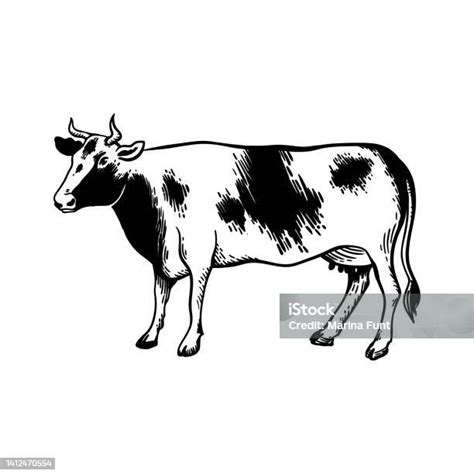 암소는 초원에서 방목하고 있습니다 우유 및 유제품 선형 암소 아이콘입니다 농장에 대한 스톡 벡터 아트 및 기타 이미지 농장 로고 가정 생활 Istock