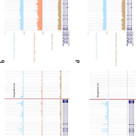 The Effect Of Hbv Integration The Genome Variation And Transcription Download Scientific