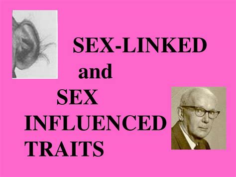 Ppt Sex Linked And Sex Influenced Traits Powerpoint Presentation Free Download Id6604058