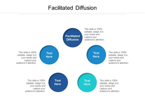 Facilitated Diffusion Ppt Powerpoint Presentation Pictures Designs Cpb Presentation Graphics