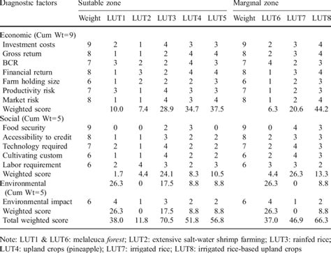 Rating And Weighting And Weighted Scores Download Table