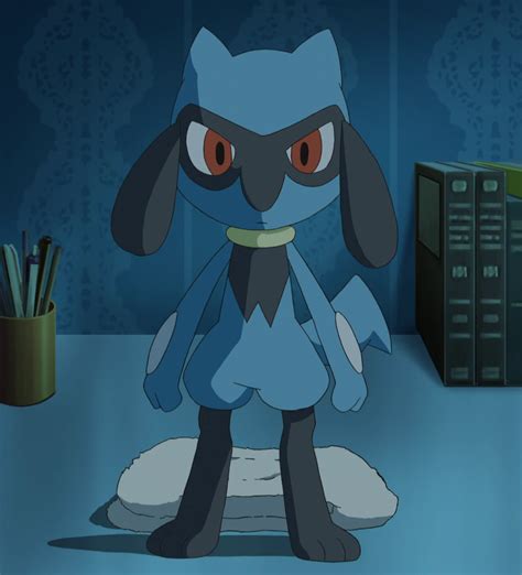 Riolu Pokémon Wiki Fandom Pokemon Alola Pokémon Species Fighting Pokémon
