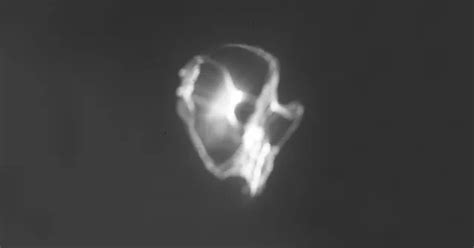 In Use Mooring At Sea Eloquent Wit