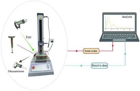 Measurement Of Youngs Modulus And Poissons Ratio Of Green Pepper For Download Scientific