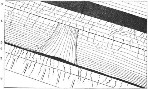 Polystrate Tree Fossils