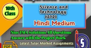 How To Get Nios Solved Assignment Growth Education Points
