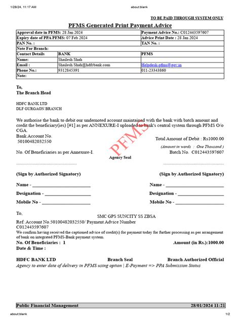 Pfms Pdf Payments Economies