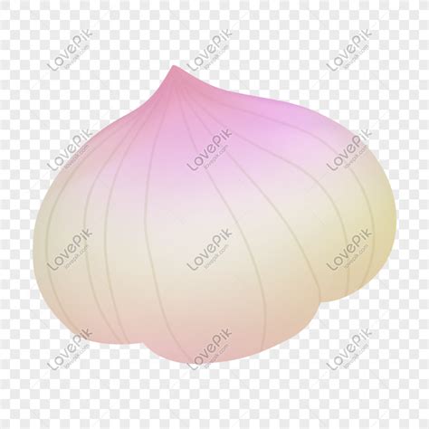 만화 양파 사진 이미지 사진 401543350 무료 다운로드