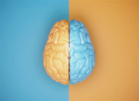 Understanding Thought Action Fusion And Ocd