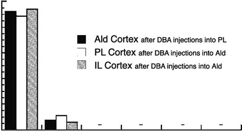 Distribution Of Post Synaptic Targets In Layers 123 Of The Dorsal