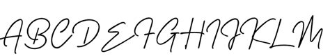 Wiliam Signature Free Font Script Elegant What Font Is