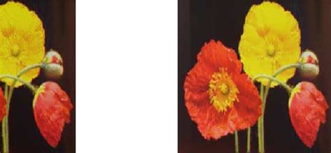 Figure 511 From A Generalized Matrix Krylov Subspace Method For Tv Regularization Semantic