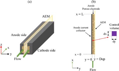 A A Simplified Schematic Drawing Of The Cell A More Detailed Drawing Download Scientific