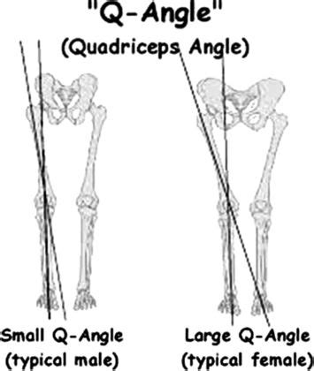 From Title IX To The Q Angle Sex And Gender In Acute Care Orthopedics And Sports Medicine