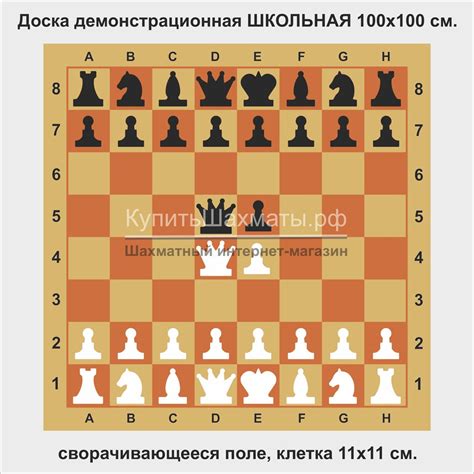 Школьная шахматная демонстрационная доска 100 х 100 см