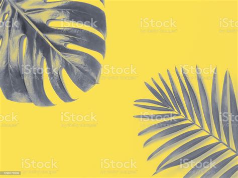 2021 년 의 트렌디 한 색상 노란색과 궁극적 인 회색을 조명 회색 손바닥과 몬스터 잎과 생생한 추상적 인 배경과 텍스트에