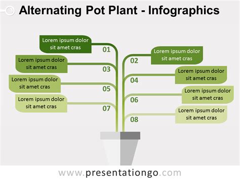 Plantation Hierarchy Chart Free Powerpoint Templates About Tree Presentationgo Com