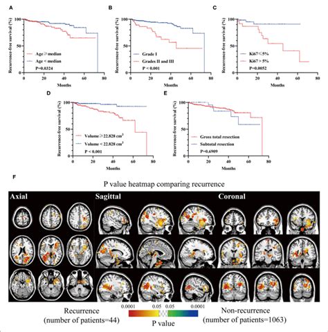recurrence free survival rfs analyses of biological characteristics
