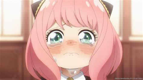 애니플러스 On Twitter 【애니플러스 X 스파이 패밀리 한국어 더빙 】 세계의 명운은 서로의 정체를 숨긴 이 임시