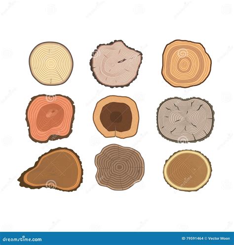 Tree Slices Vector Set Stock Vector Illustration Of Macro 79591464