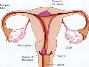 Kuliah Umum Farmasi July 2017