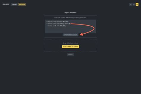 Global Variables Manager Bricks Academy