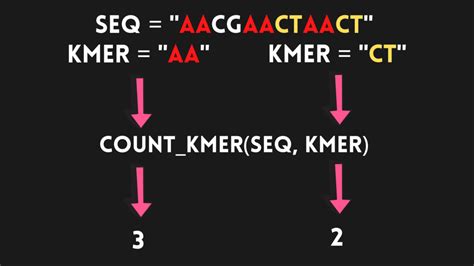 Genome Toolkit Part 3 Building Statistical Data K Mer Frequency