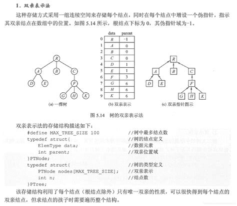 【数据结构x 5】代码实现 树和森林的双亲表示法，左孩子右兄弟表示法，创建树的左孩子右兄弟二叉树以及二叉树到树的双亲表示法的转换思路和算法 c