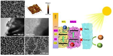 Multifunctional Supramolecular Hydrogel Modulated Heterojunction Interface Carrier Transport