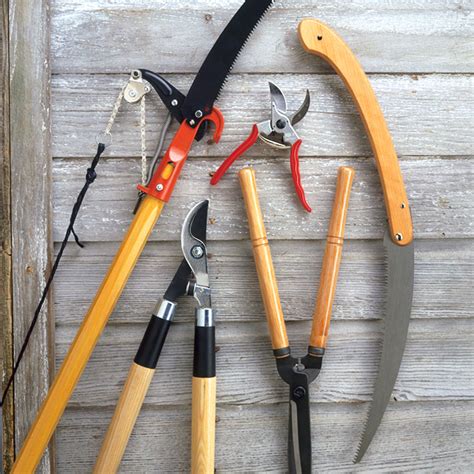 Must Have Pruning Tools For Gardeners Garden Gate