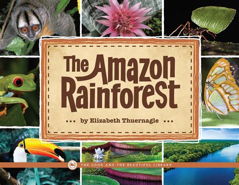 Amazon Rainforest Picture Book At Eric Main Blog