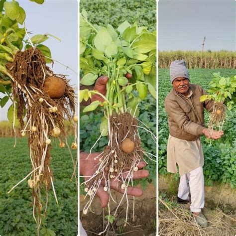 Lalit Kumar On Linkedin Upl Result