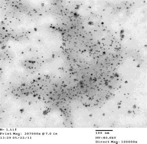 Tem Image Of Pdnps Prepared By Eps Of The Cyanobacterium Nostoc Commune Download Scientific